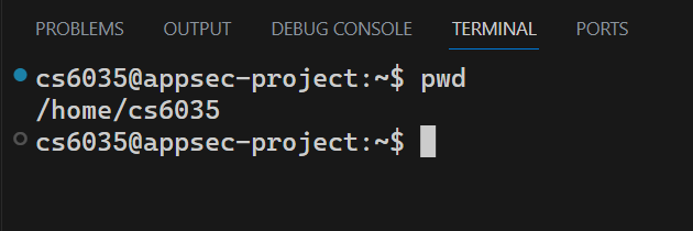 CS 4235/6035 - Project 1 VM